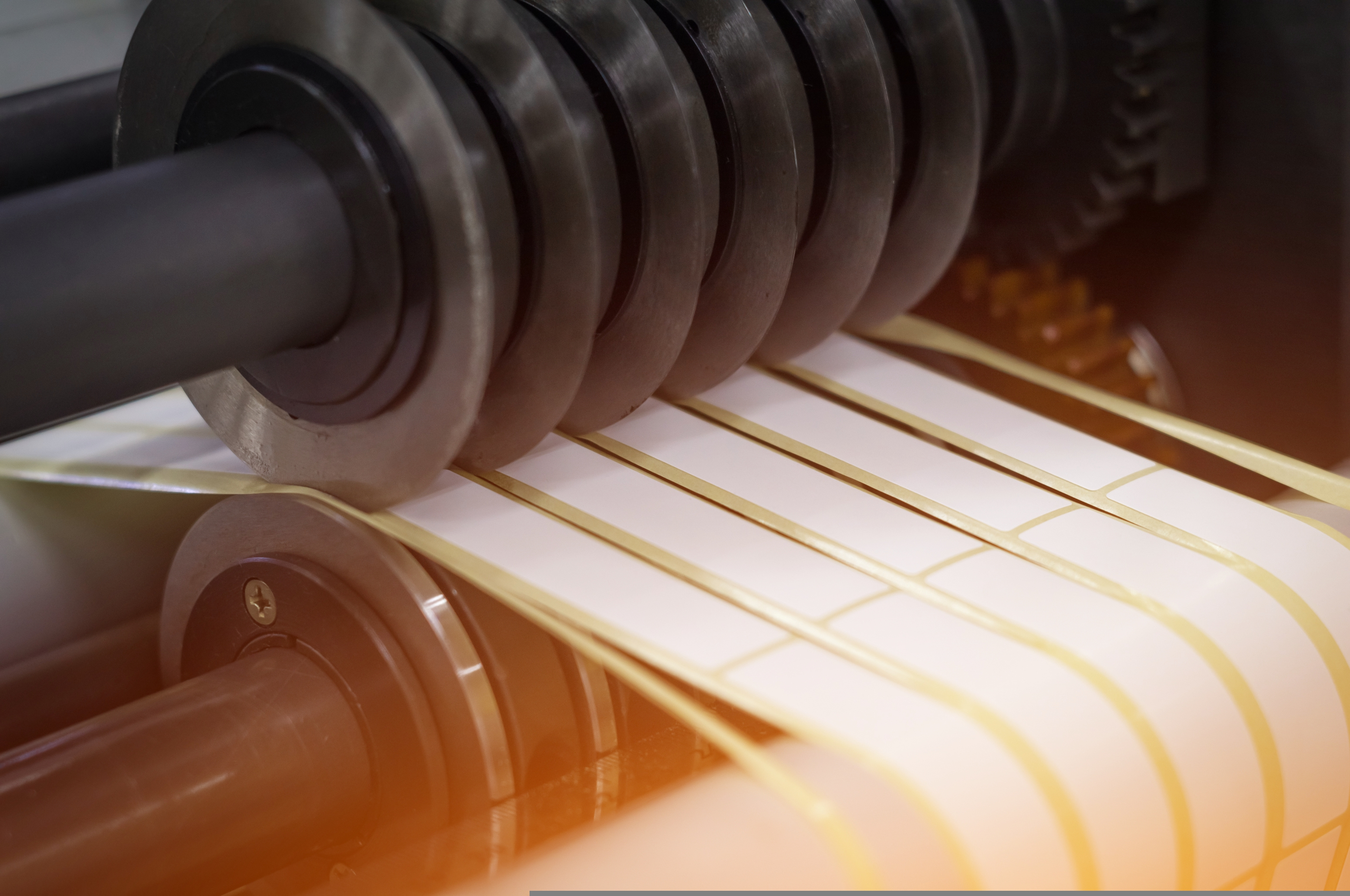 Common Issues You Might Face Grinding CMP-10V